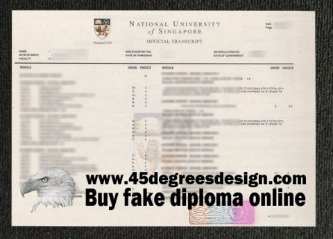 Popular sites for finding fake NUS transcripts