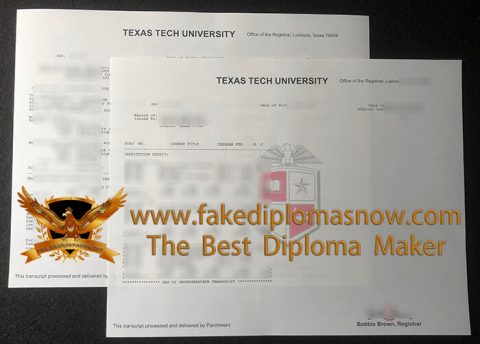 How to make a fake Texas Tech University Transcript?