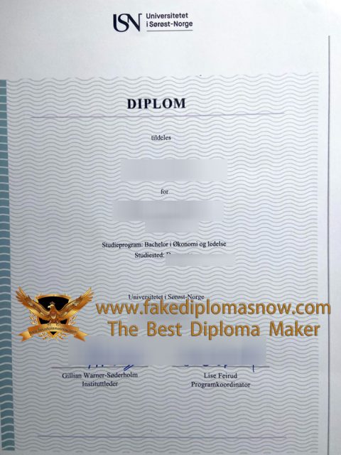How to buy a fake Universitetet i Sørøst-Norge diploma?