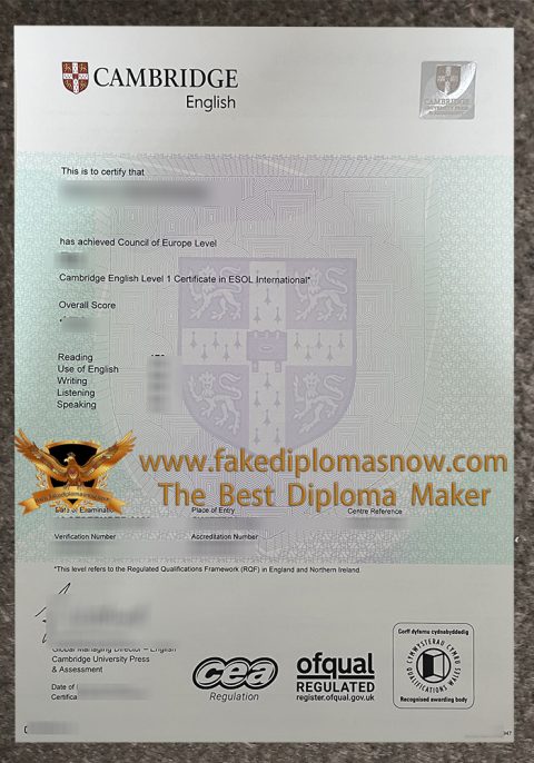 Buy A Fake Cambridge English B2 Certificate in 2024