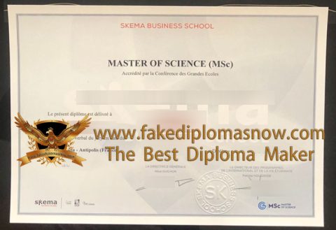 How to buy a Skema Business School diploma?