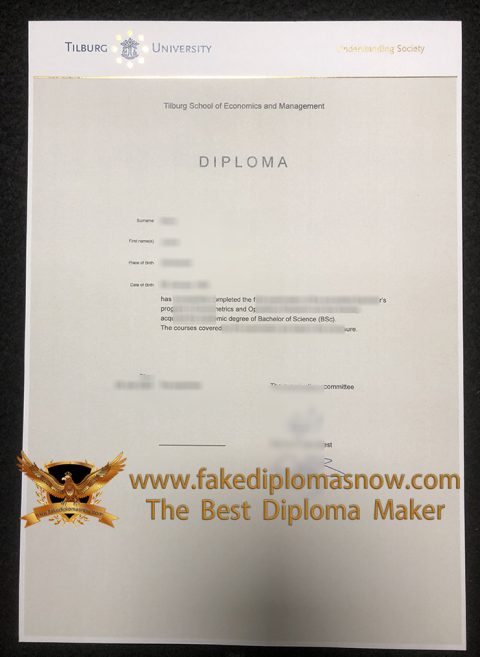 How much to buy a Tilburg University diploma certificate?