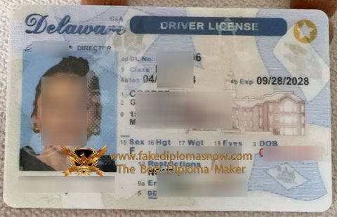 Order a Delaware ID, buy a fake ID, Delaware drving license